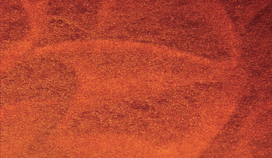 Asialink Indigenous Development Plan 2020–22 | Asialink